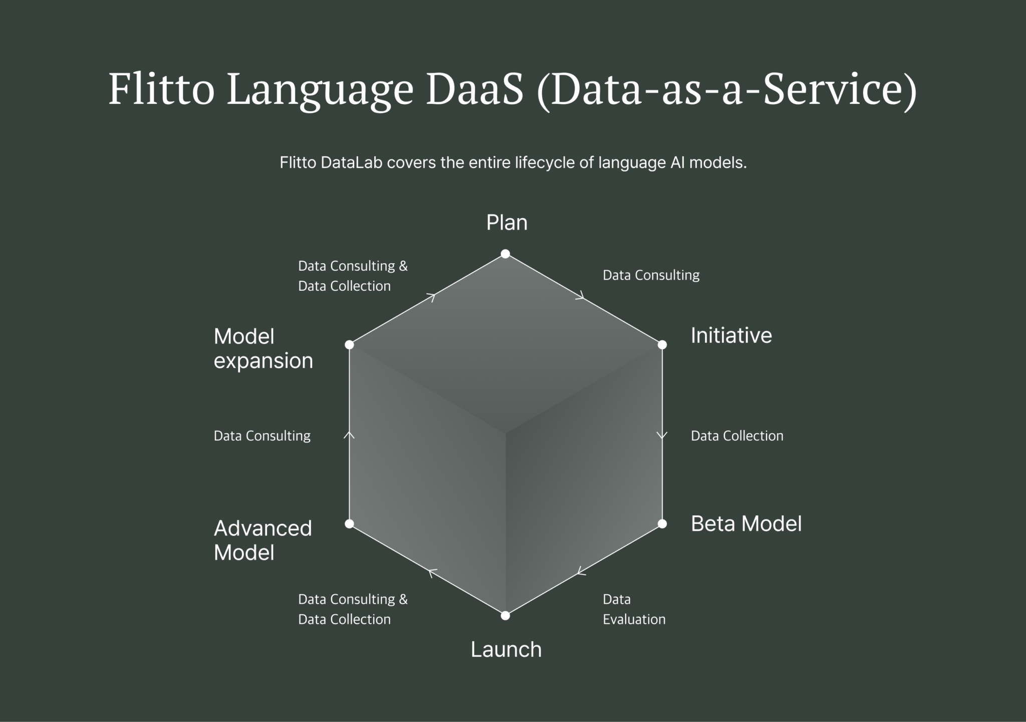 What is Data-as-a-Service?: A Guide for AI Product Development - Flitto DataLab